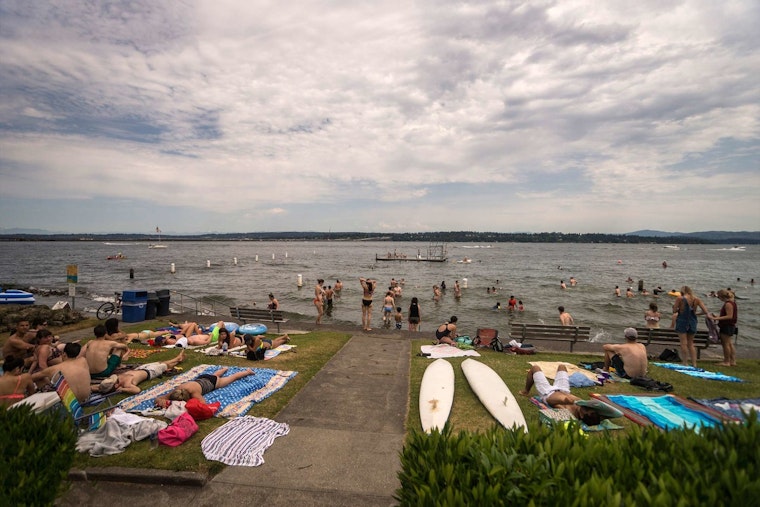 Bacteria Scare Shuts Down Three King County Swim Hotspots