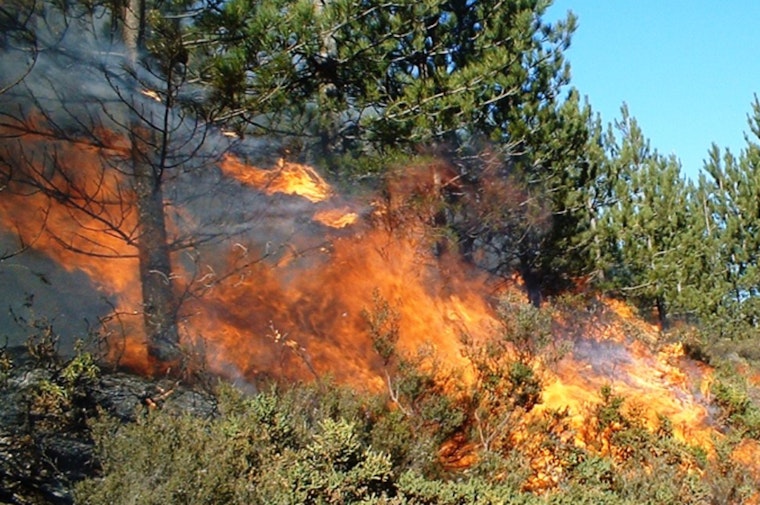 Burro Fire Reported in Los Angeles County May 18
