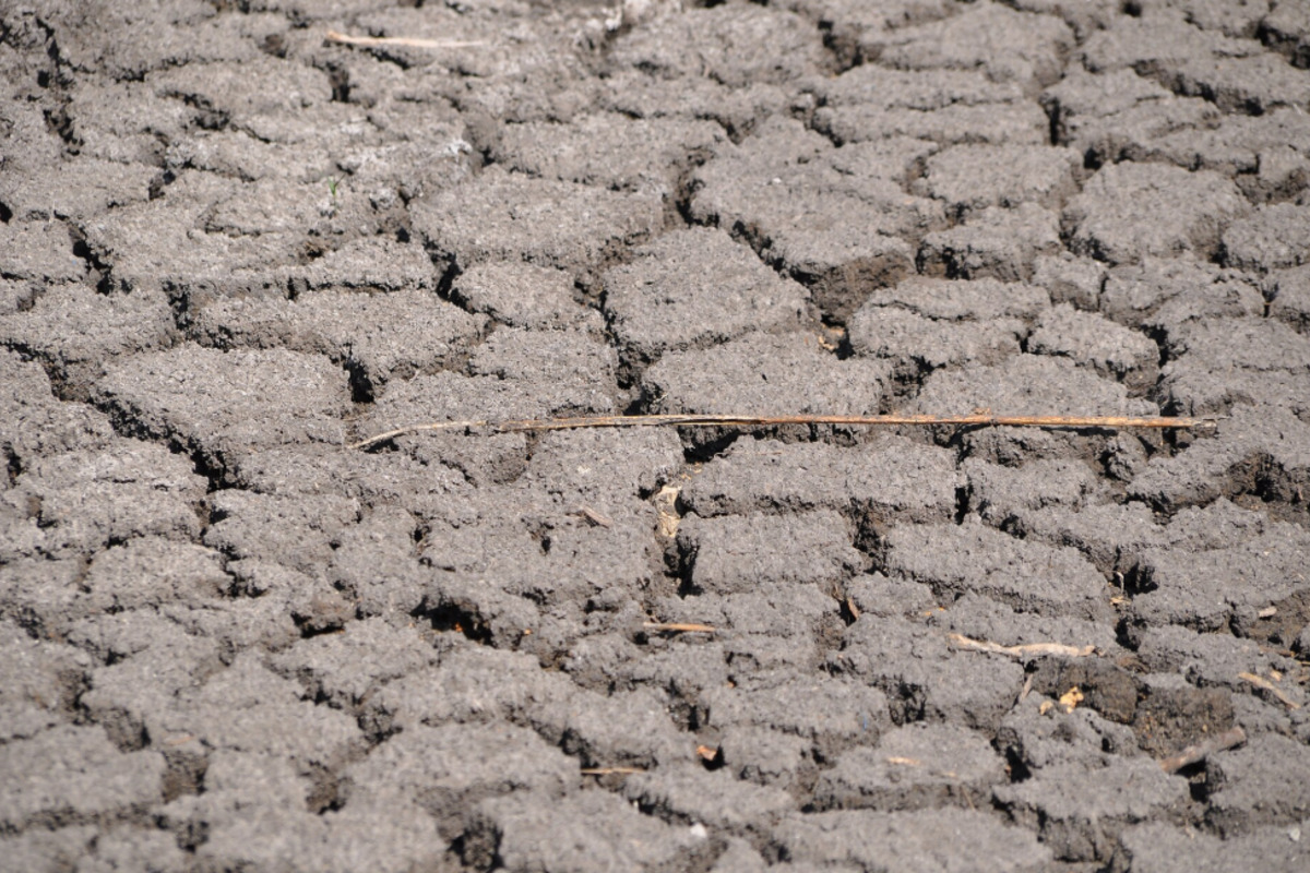 D.C. And Maryland Among Worst Hit As U.S. Drought Worsens