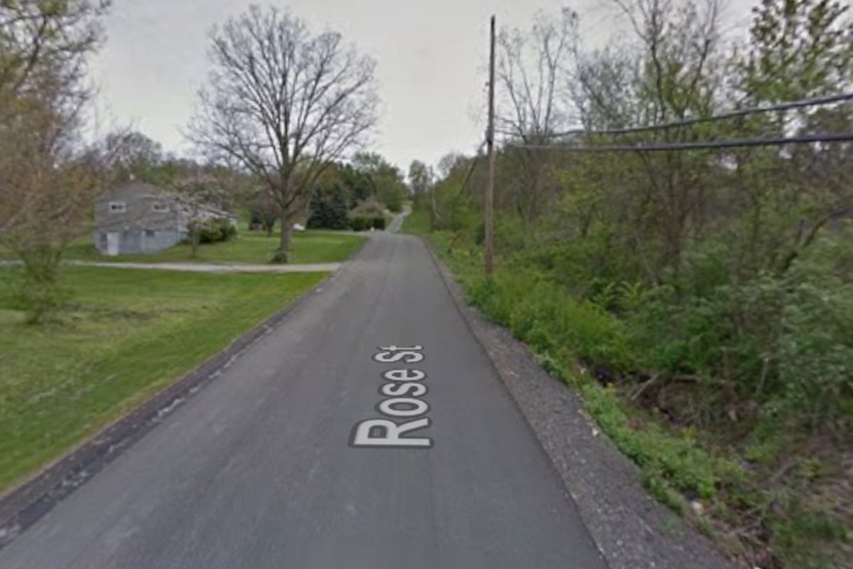 Chester Video Spurs PSPCA Probe Into Alleged Cat Poisoning