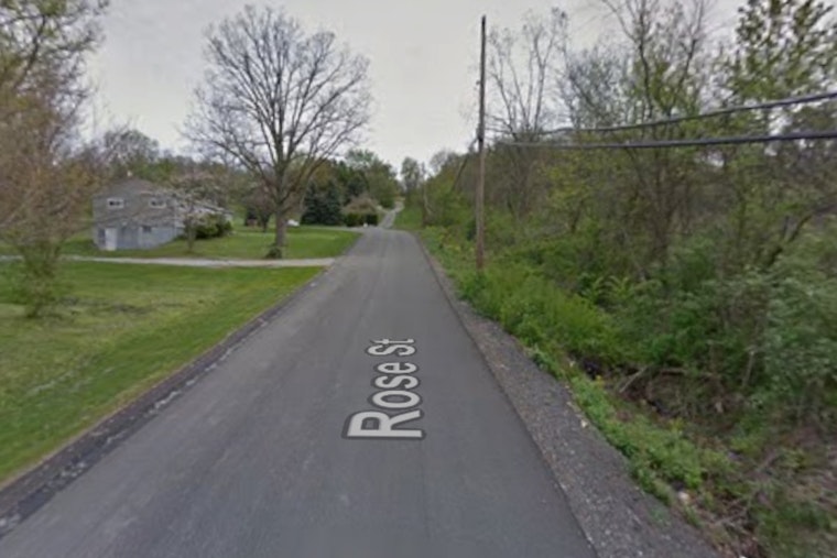 Chester Video Spurs PSPCA Probe Into Alleged Cat Poisoning