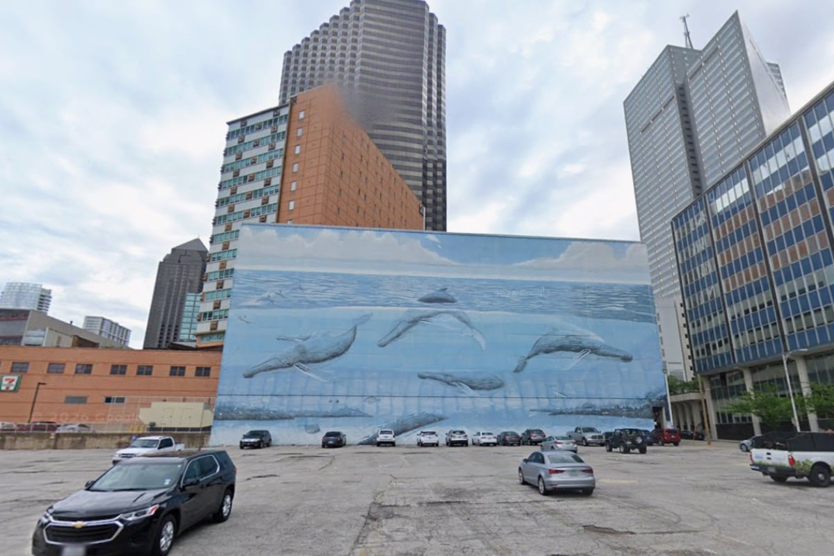 Dallas Drowns Iconic Whale Wall In World Cup Blue