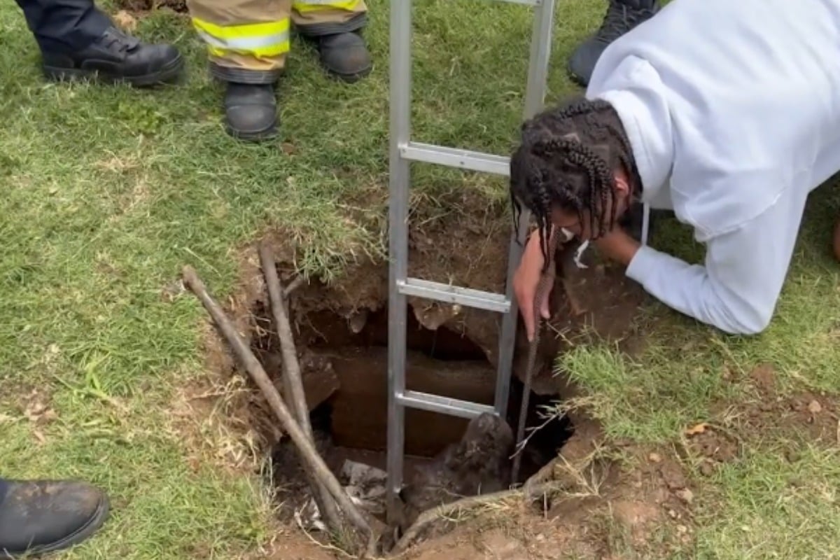 Dallas Firefighters Muscle 200‑Pound Mastiff Out Of Backyard Water Pit