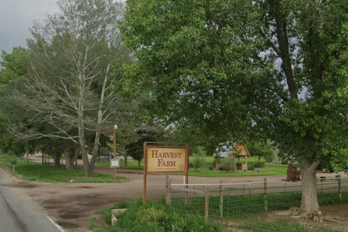 Denver Rescue Mission Axes Wellington’s Harvest Farm, Dozens Face