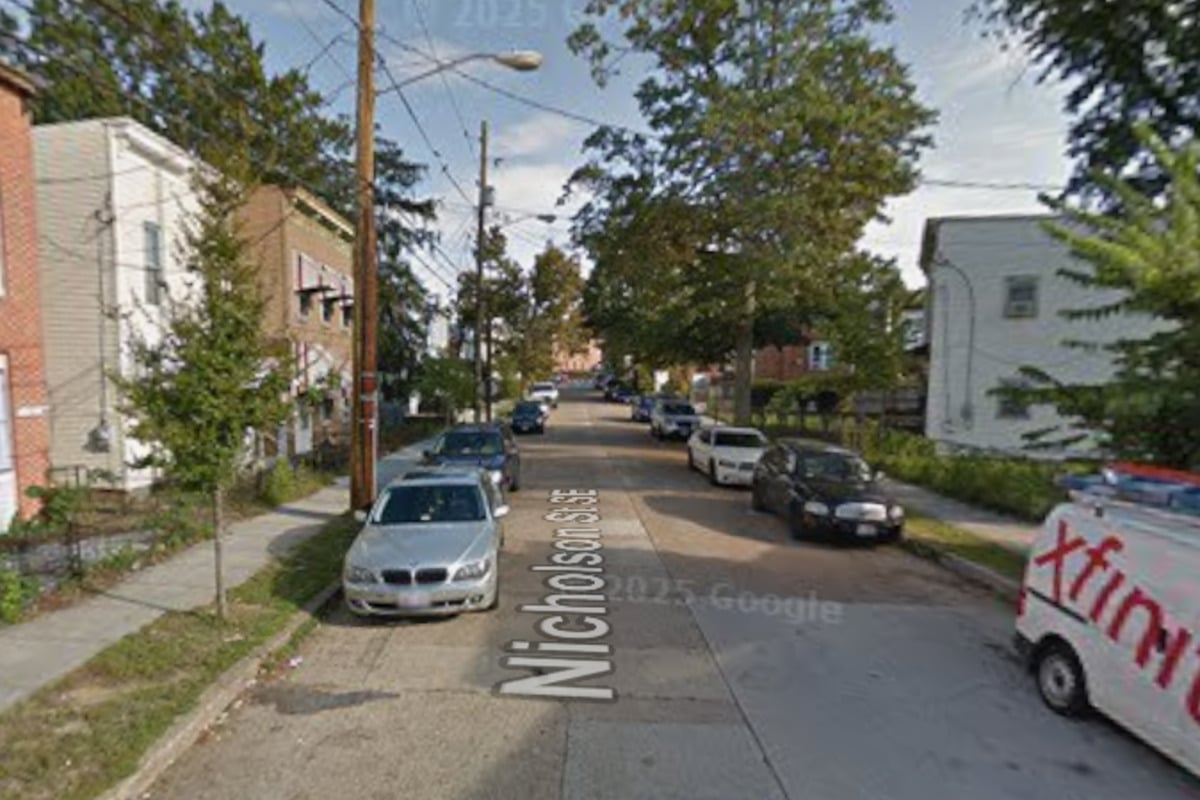 Fairlawn Dog Stabbing Has D.C. Cops Seeking Neighborhood Attacker