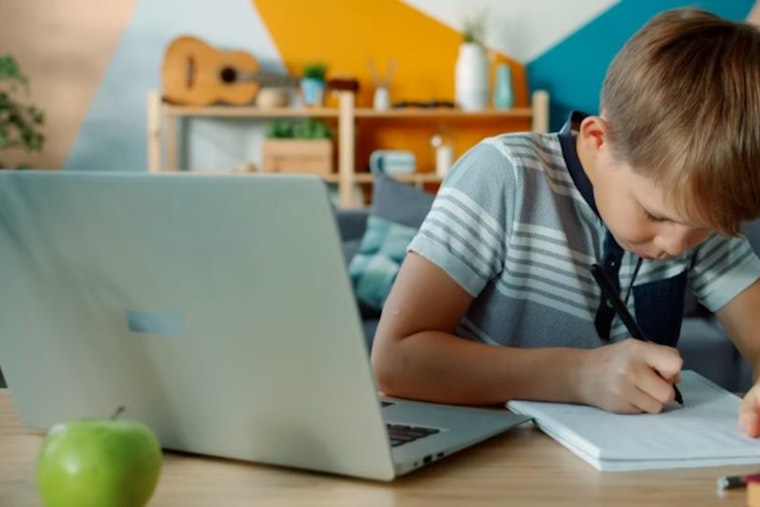 Glitch Gremlins Crash CMS Exams Again, Students Stuck In Test Chaos