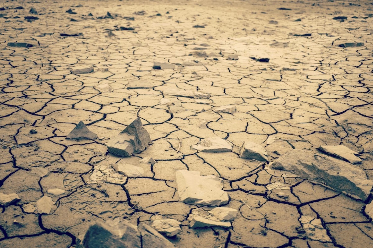 Harvard MBAs Pulled Into Great Salt Lake’s Slow-Motion Emergency