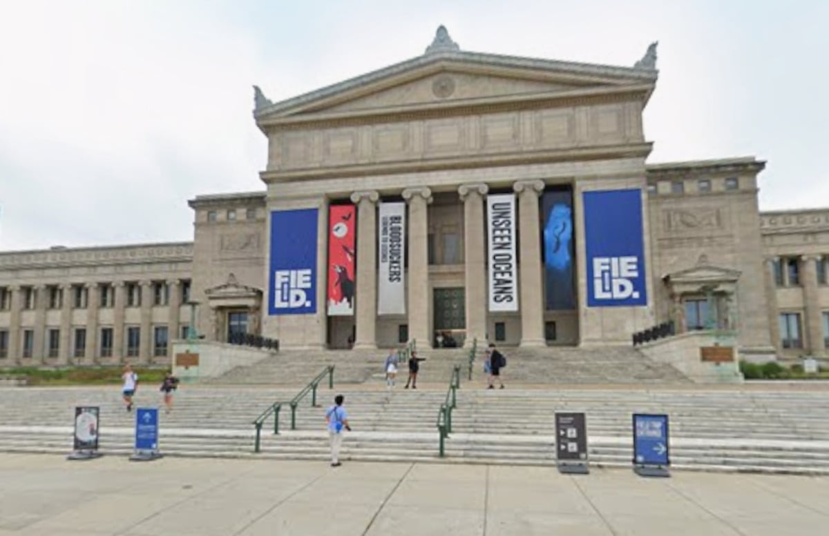 Pokémon Fossil Museum Opens at Field Museum in Chicago