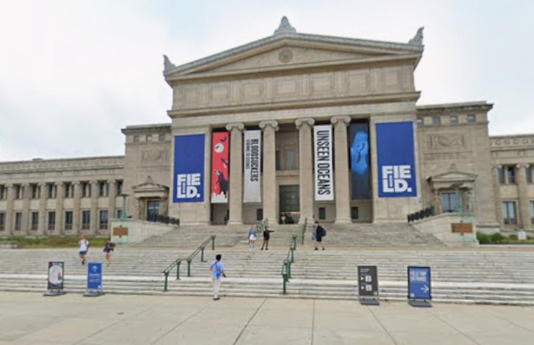 Pokémon Fossil Museum Opens at Field Museum in Chicago
