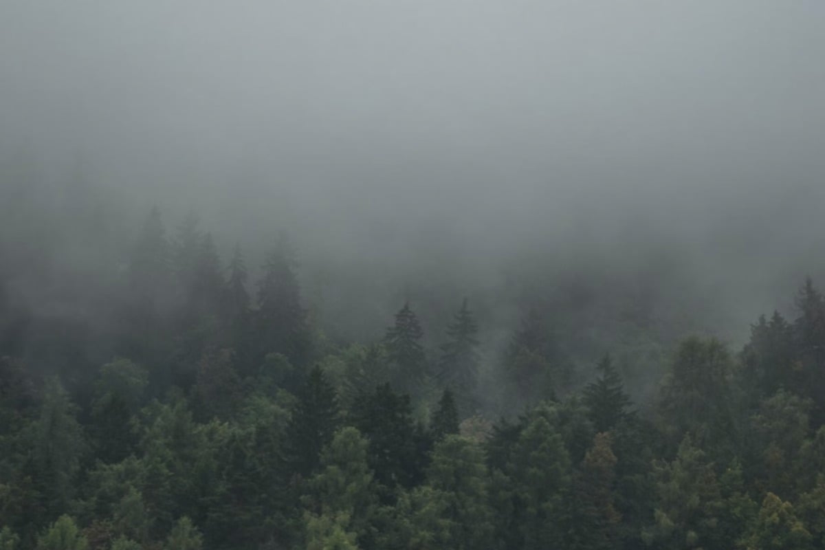 Queen City Wakes to Foggy Soaker as Holiday Weekend Plans Get Soaked