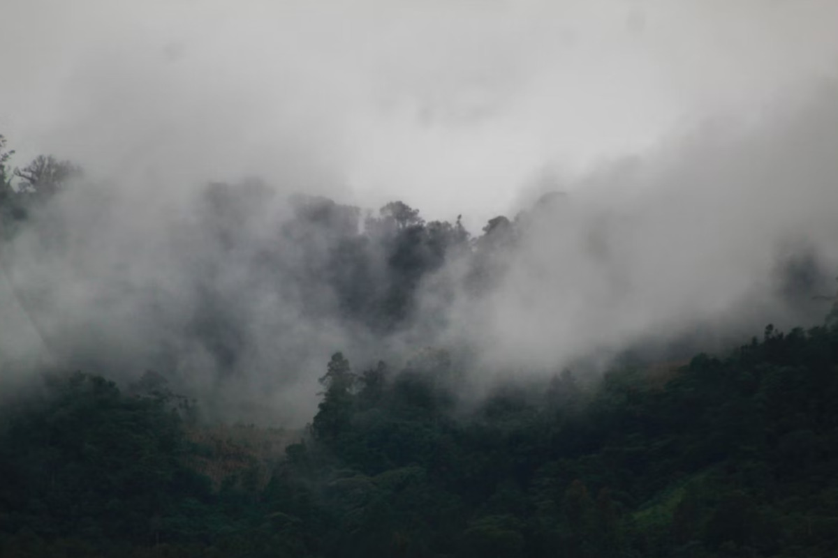 San Antonio Weather, Fog Today, Storms Possible Sunday Night