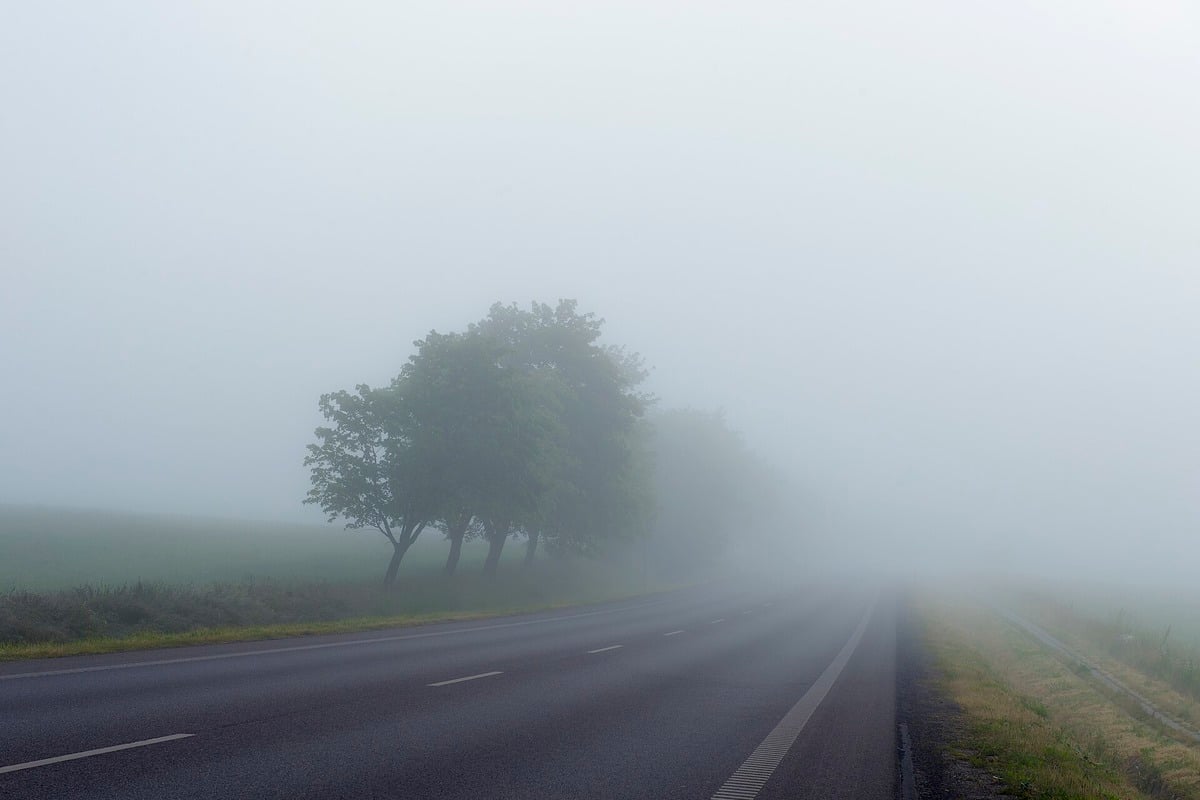 New Orleans Weather: Fog This Morning, Storms This Afternoon