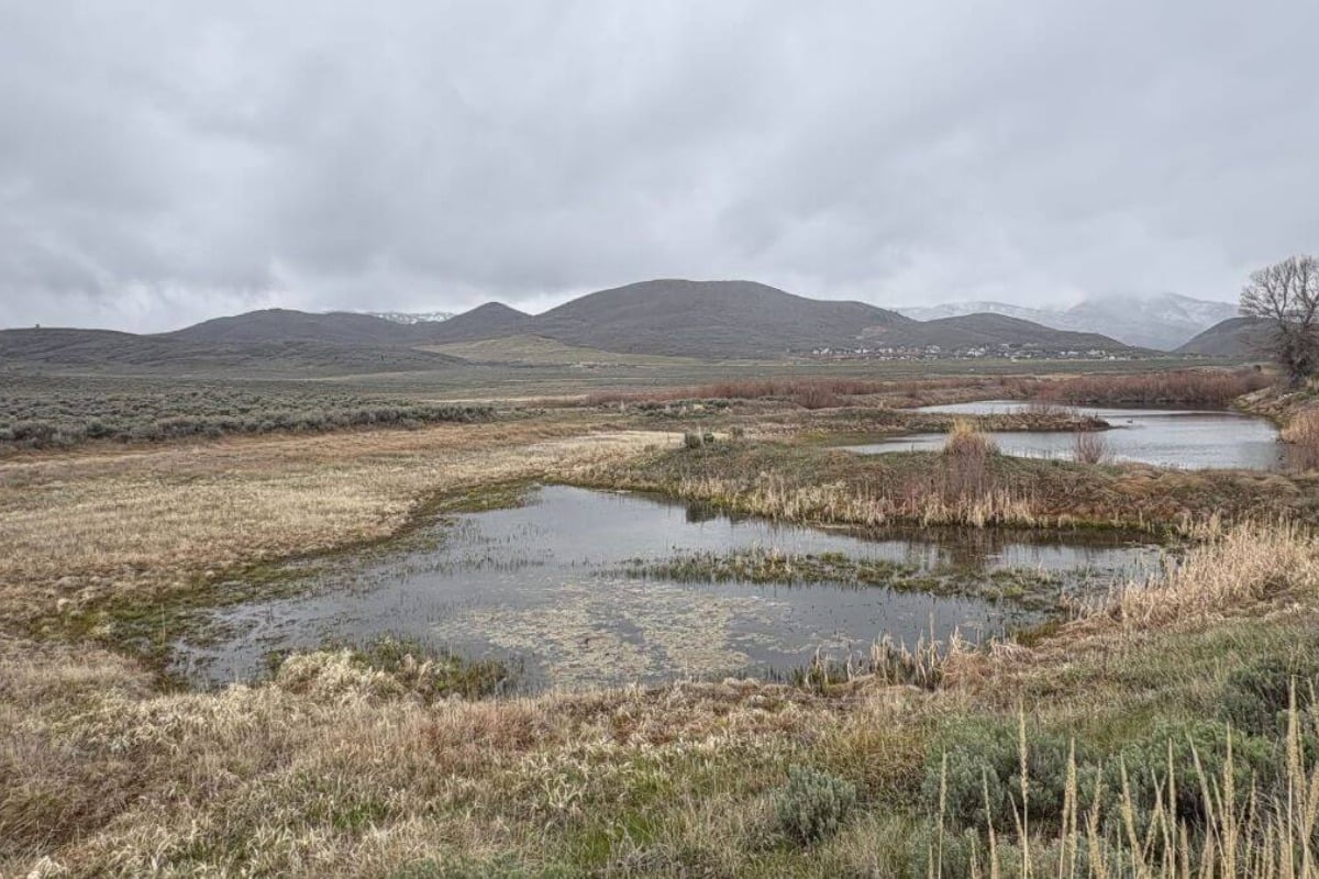 Toxic Tailings Showdown: Park City Gets Say On $20M Richardson Flat