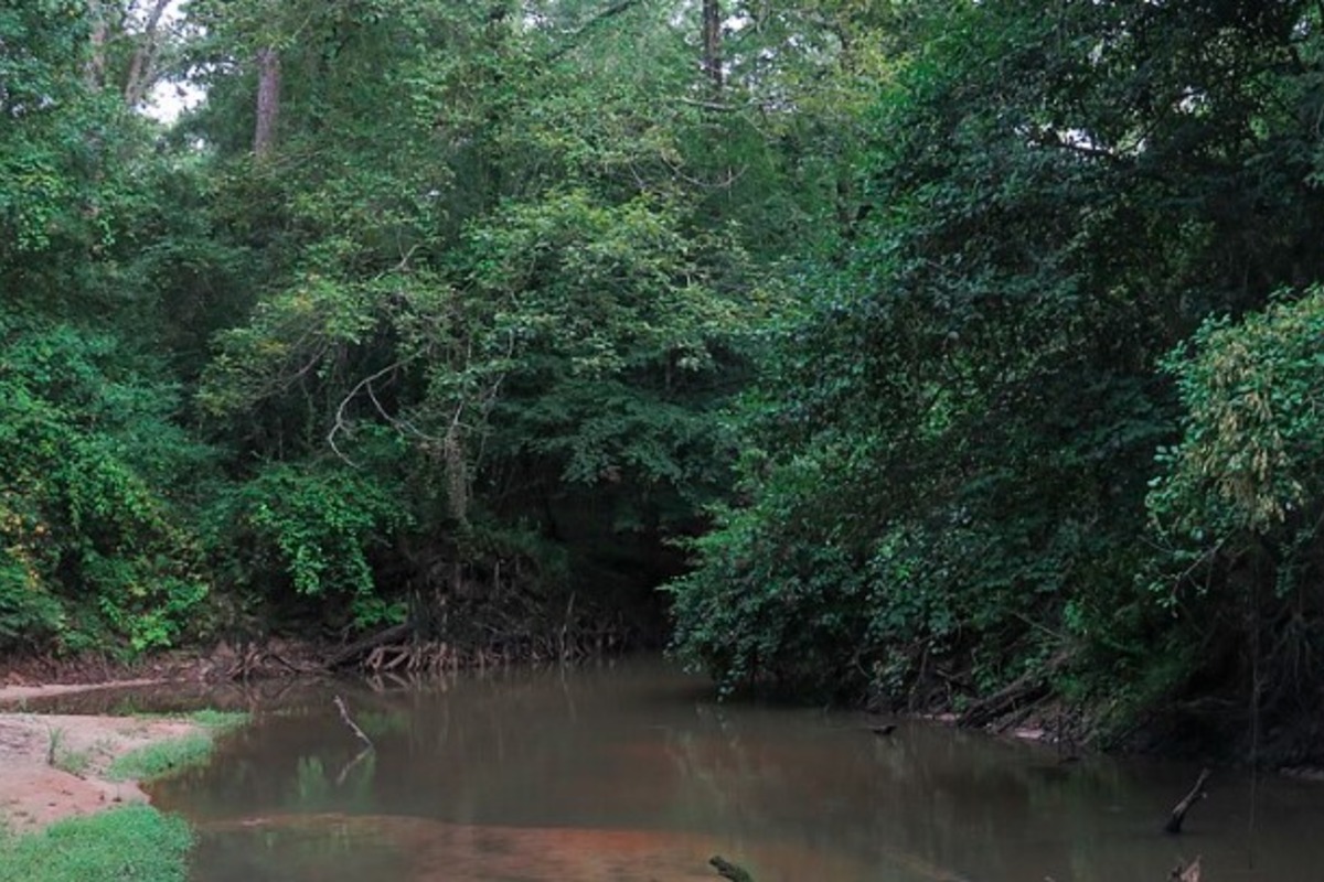 Two Children Die After Drowning in Turkey Creek in Pinson