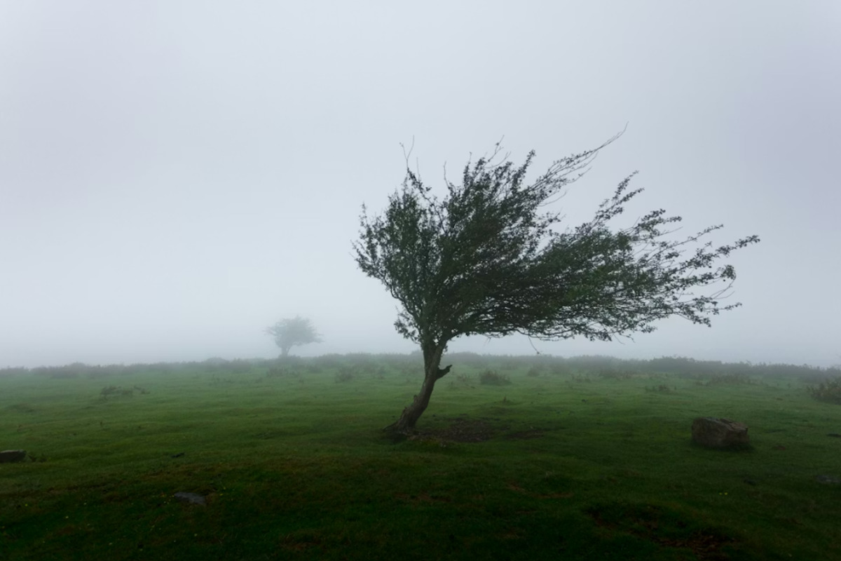 Las Vegas High Wind Warning Sunday — Gusts To 60+ mph
