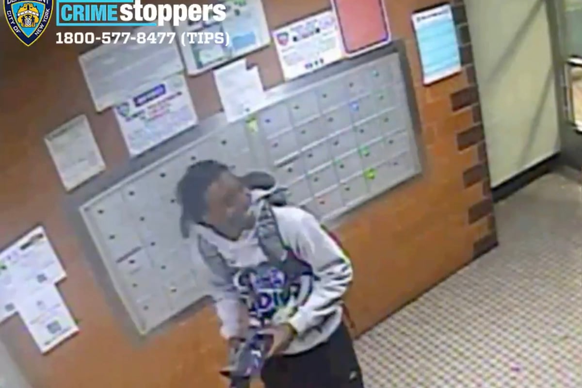 Astoria Ferry Hub Beatdown: Thieves Jump 25-Year-Old, Swipe His