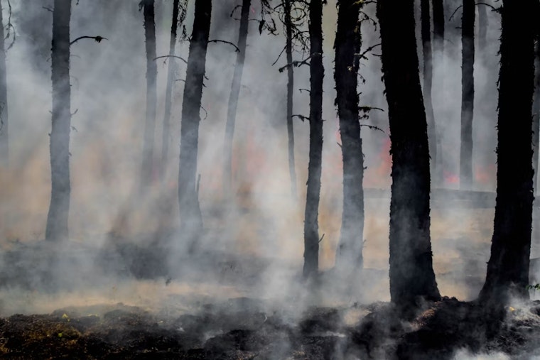 Border 5 Blaze Ignites In San Diego County With No Containment Posted