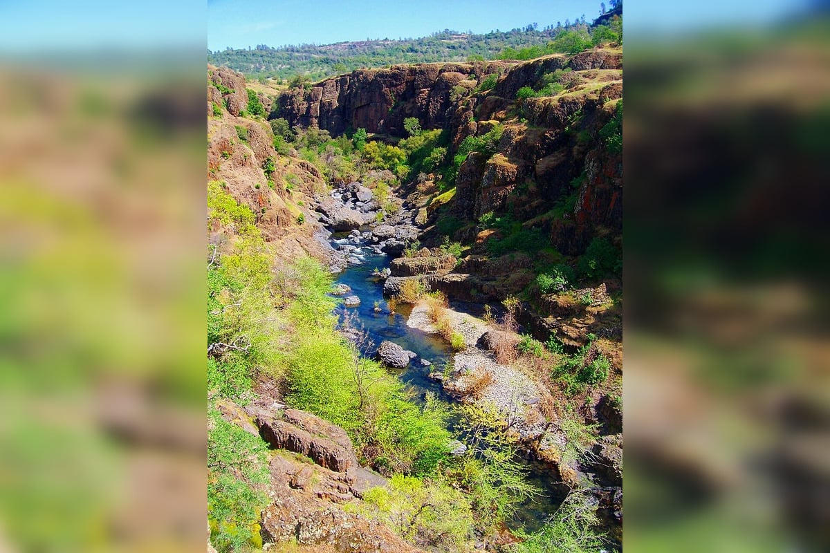 Mechoopda Reclaims 450 Acres Near Chico's Big Chico Creek
