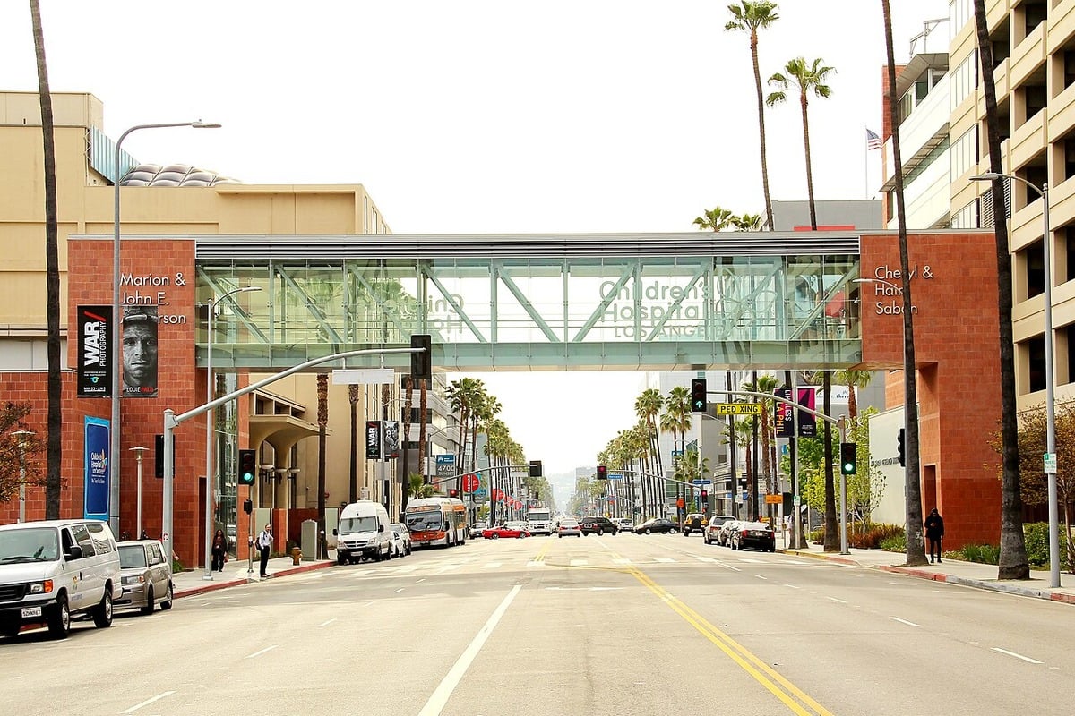 CHLA & UCLA Win $17.25M for Autism Research