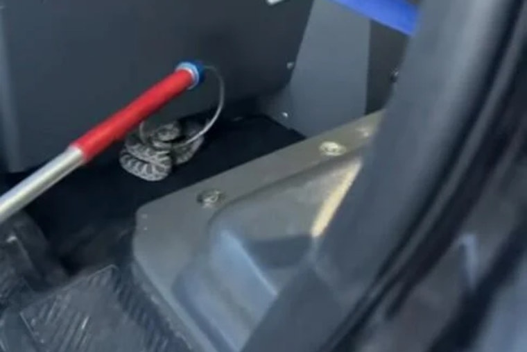 Commerce City Cops Turn Patrol Car Into Snake Uber Near Adams City