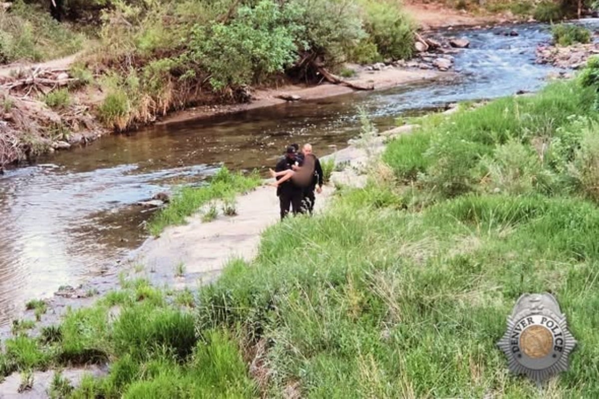 Denver Cops Pull Nonverbal 8-Year-Old From River In Cherry Creek