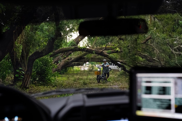 Dunedin Gears Up For Storm Season With Hurricane Expo And TV Weather
