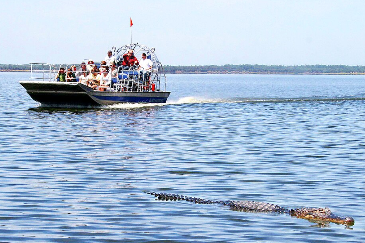Free Baby Gator Photo Op Ends With Bite To The Face, Lawsuit Says