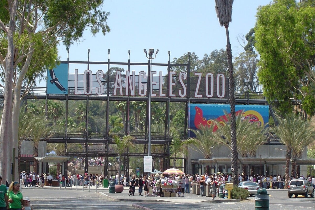 Grand Jury Says L.A. Zoo Needs Private Steward
