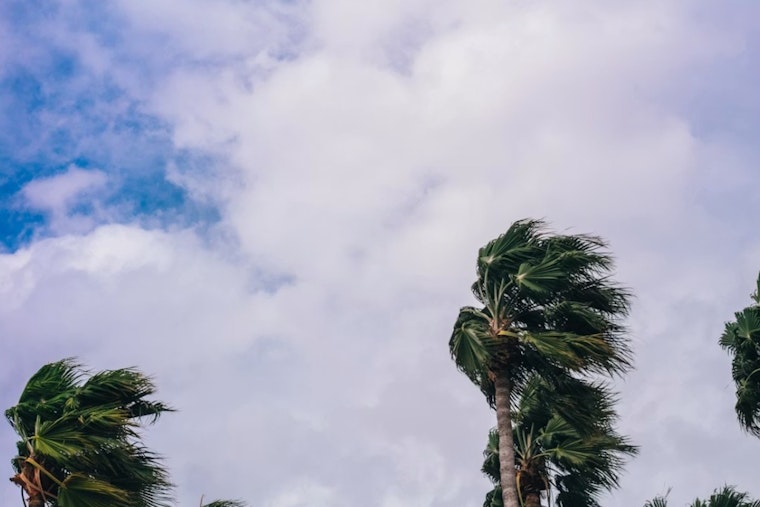 Honolulu Gets Whipped By Trades As Quick Showers Pop