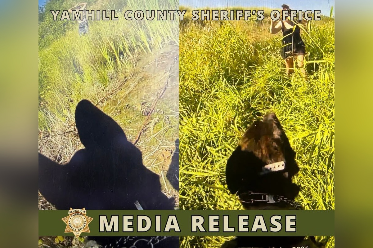 K9 Delta Helps Deputies Make Three Arrests in Yamhill County