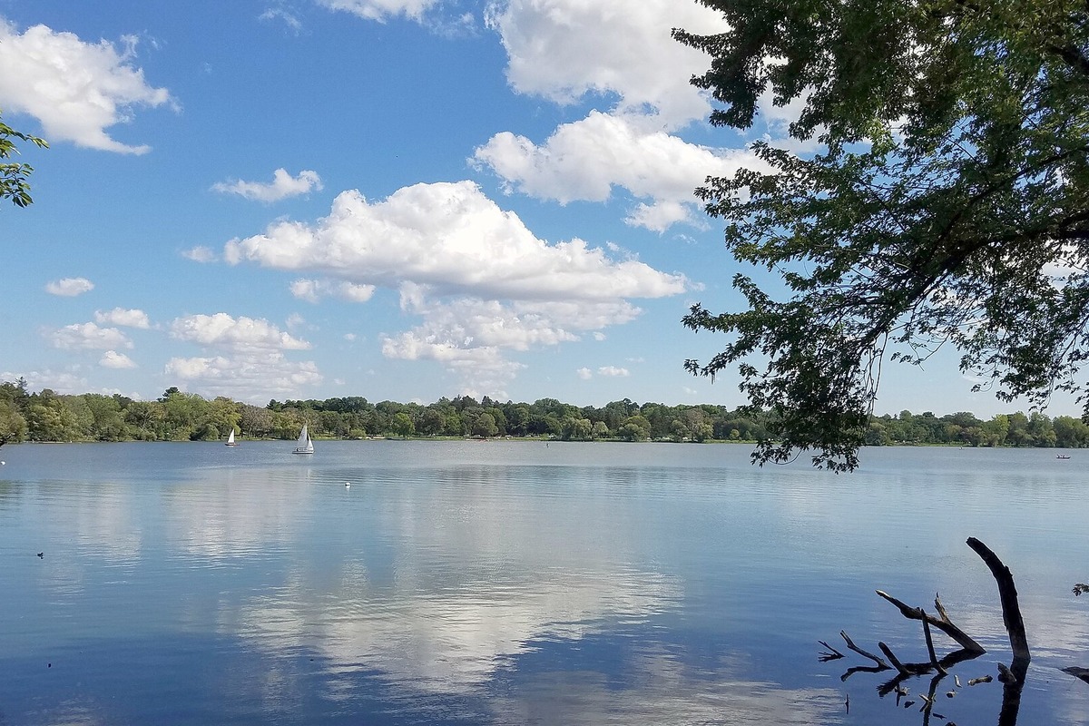 Dead Fish Found At Lake Nokomis; Officials Investigating