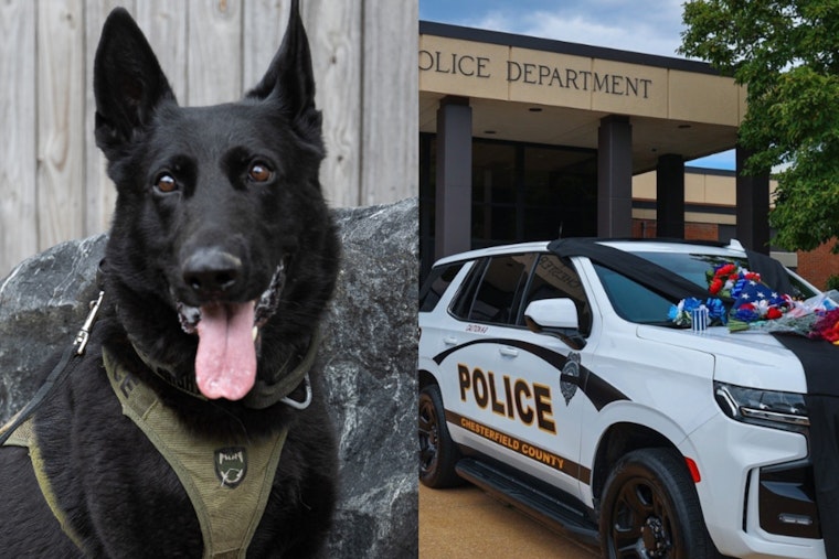 K9 Knight Killed In Chesterfield Shooting