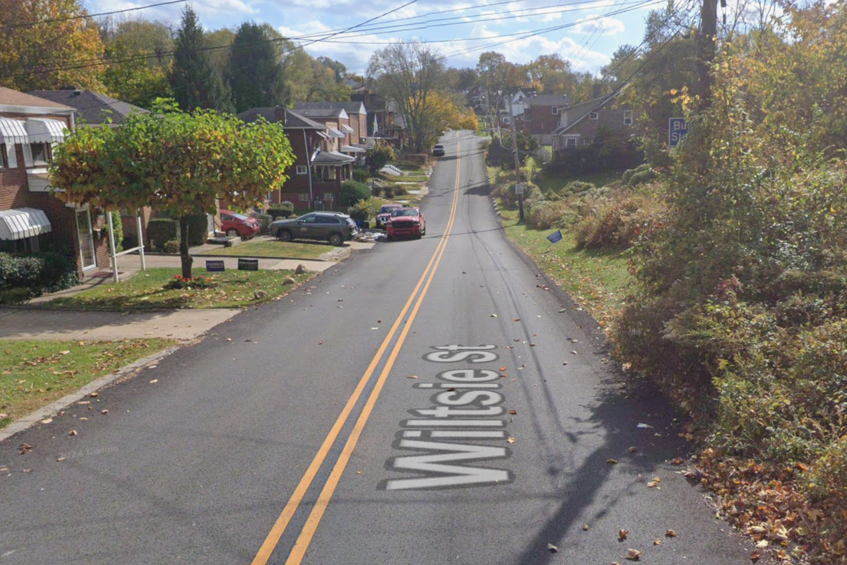 Pittsburgh Mom Still Fighting for Answers in Wiltsie Street Killing