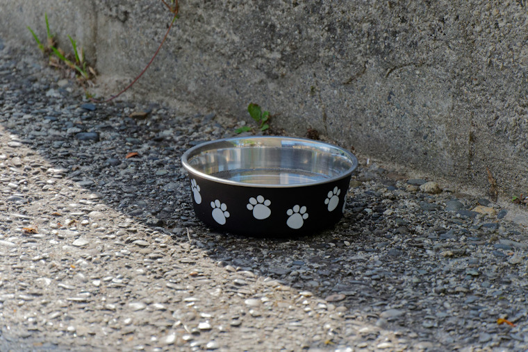 Pittsburgh Pet Pantry Closes After Landlord Threats