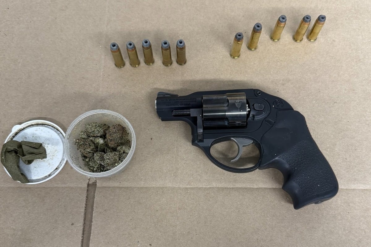 Chicago man charged after loaded gun found on Red Line