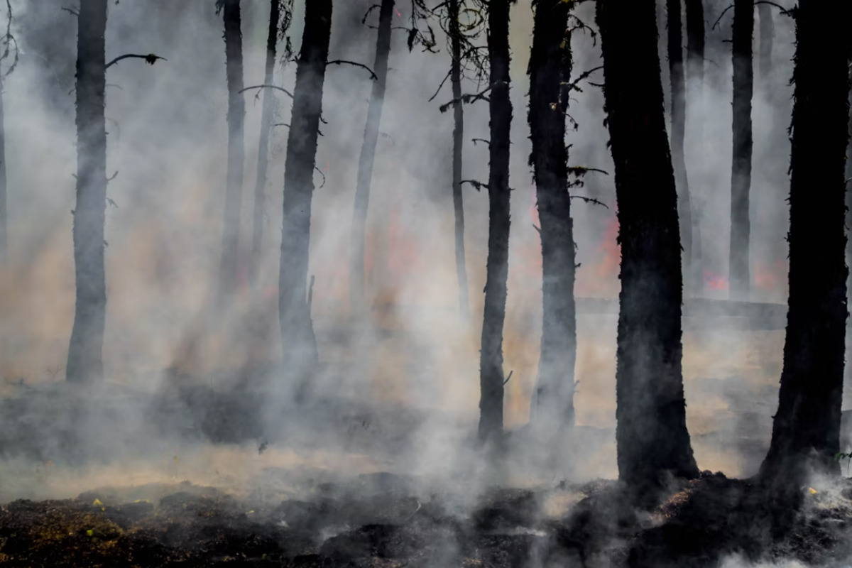 Wildfire Smoke Erodes U.S. Smog Gains, Raises Health Risks