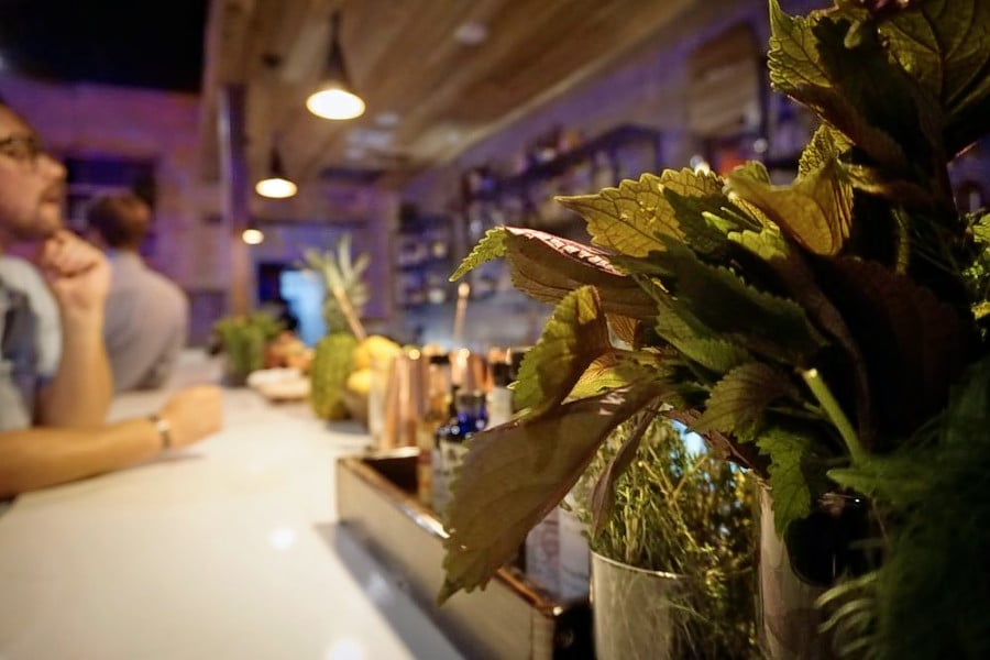 Perfect pours: Get to know these 3 new Dallas cocktail bars