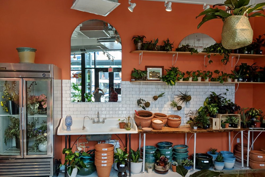 Shaw goes green with new flower and plant studio: Rewild