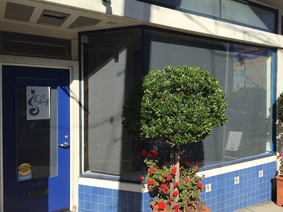 Feline Bed & Breakfast 'The Kitty Chateau' Debuts Tomorrow In The