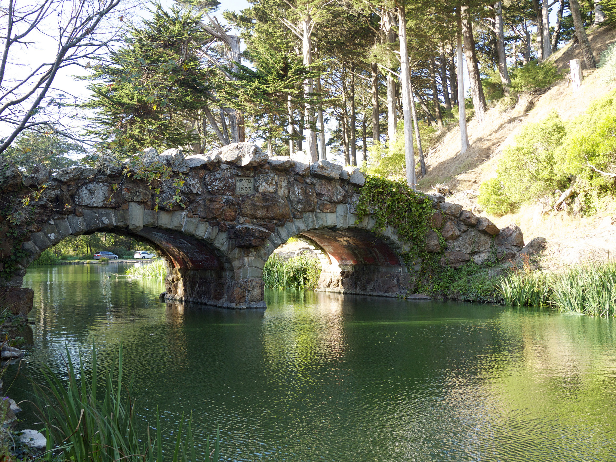 Inner Sunset Week: GGP Guided Walks, Kezar Triangle Cleanup, Patriotic