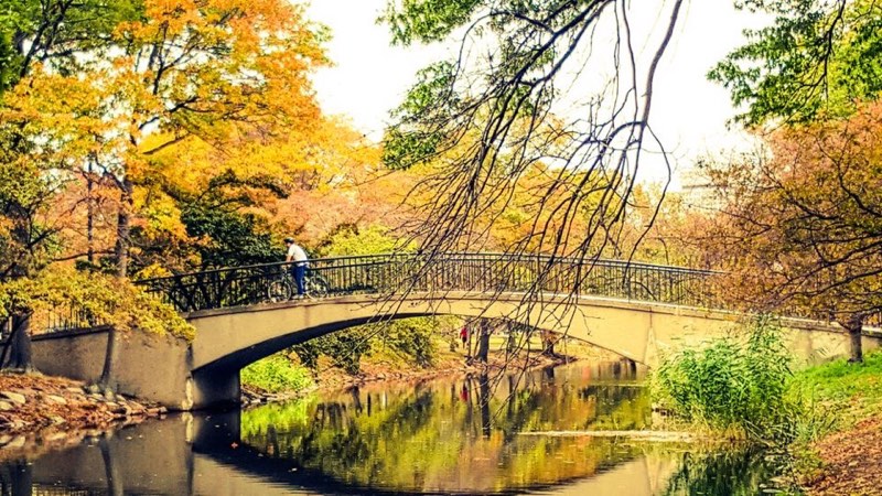 Boston's 5 Best Running Routes