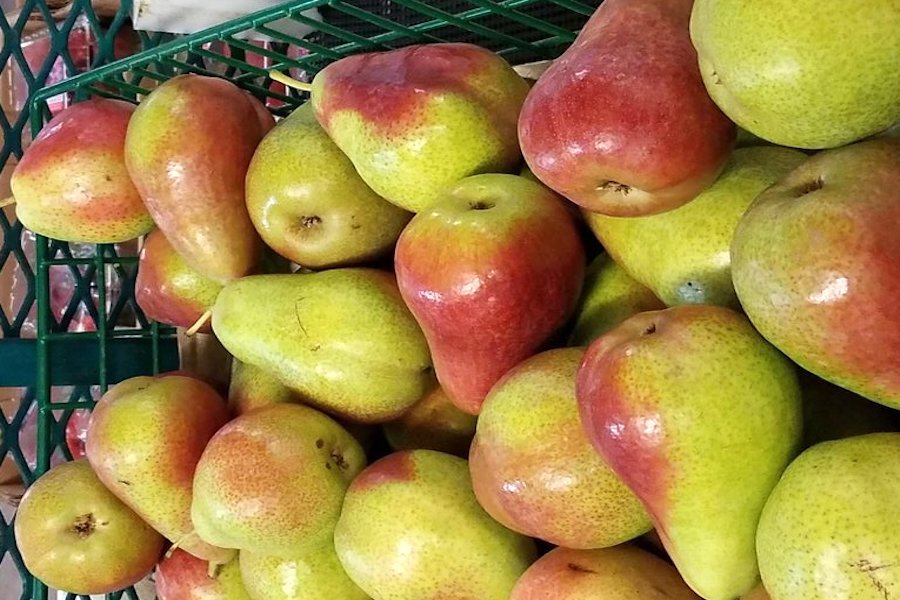 Explore the 5 top spots in East Tampa