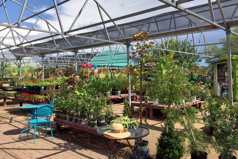 Your guide to the 3 top spots in Tucson's Civano neighborhood