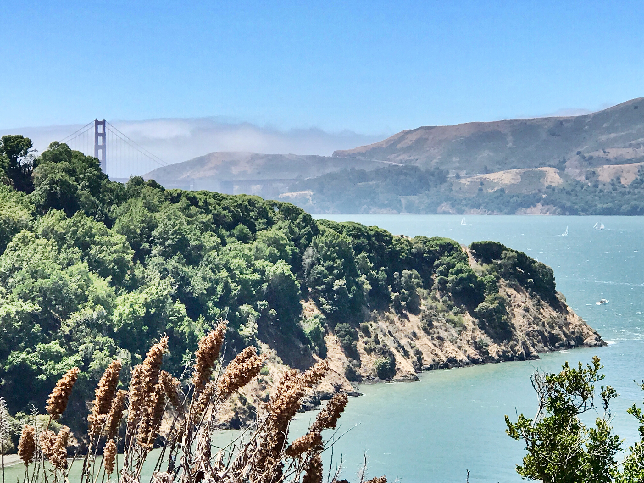 What To Pack For A Day Trip To Angel Island