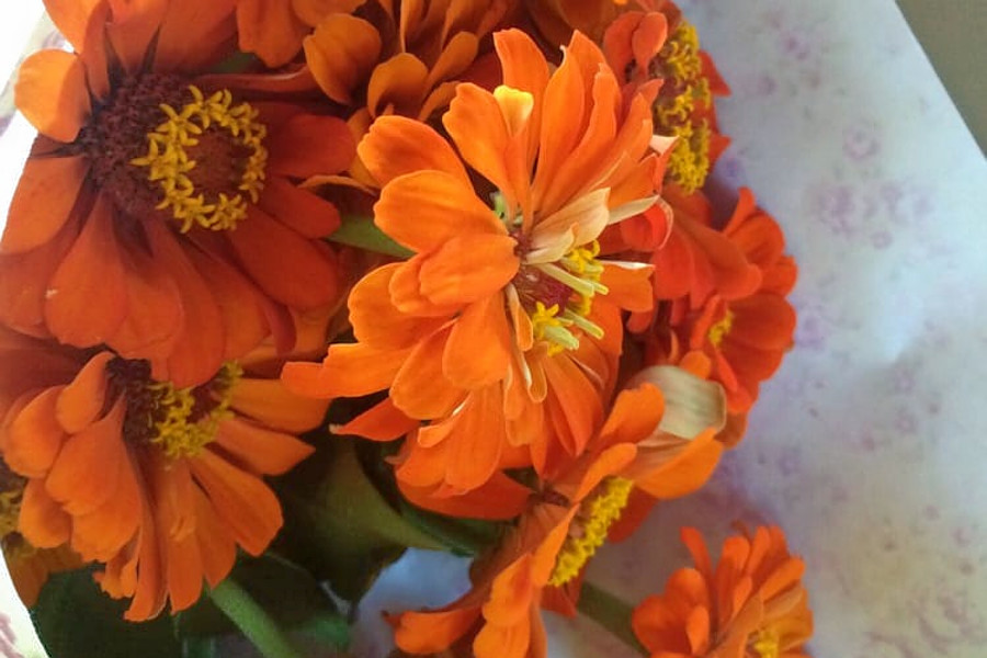 Your guide to the 3 most popular spots in Baltimore's Moravia-Walther