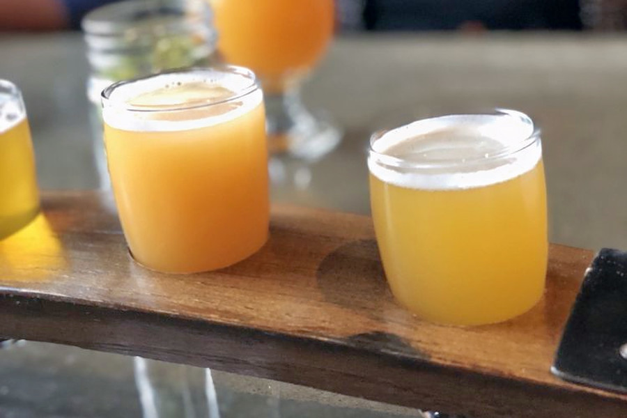 Worcester's top 5 breweries to visit now