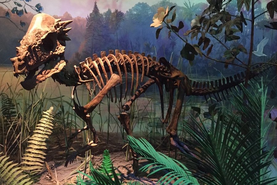 Raleigh's top 5 art galleries to visit now