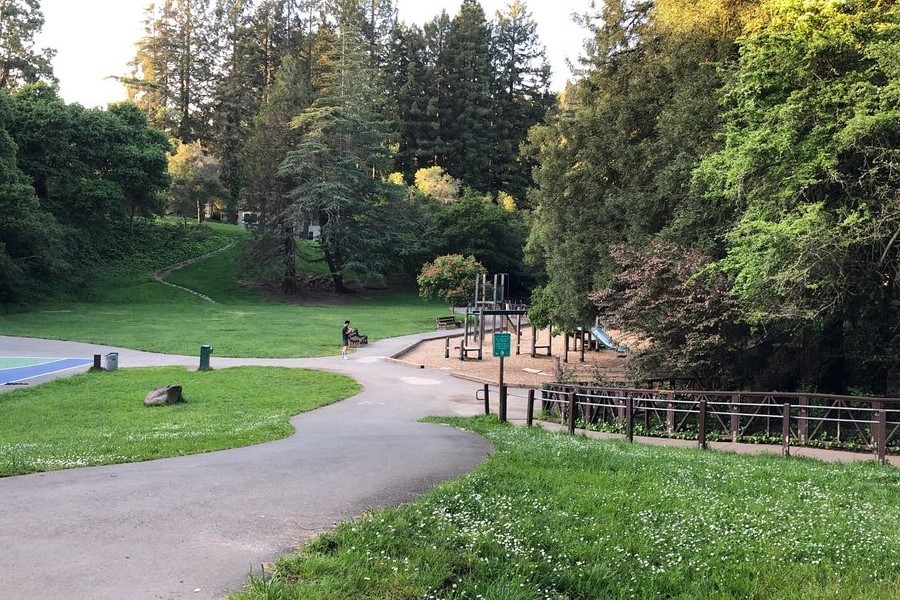 The 5 best parks in Berkeley