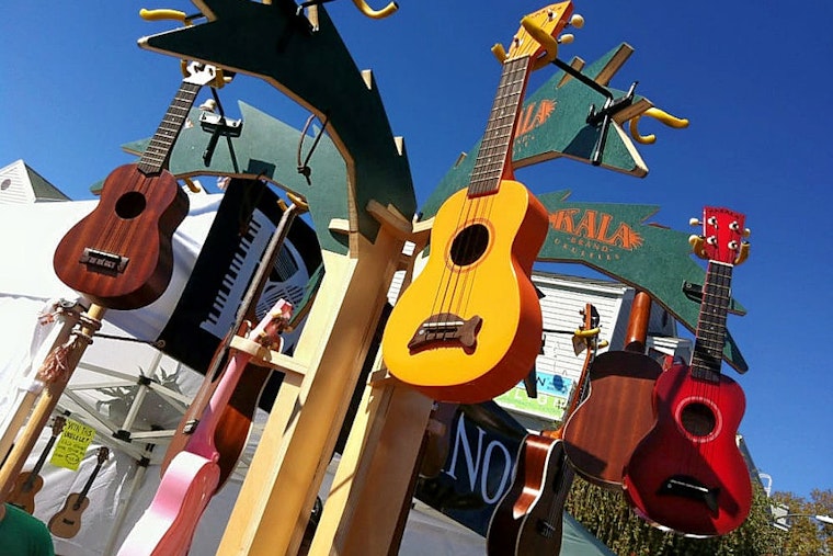 5 top spots for musical instruments and teachers in Berkeley