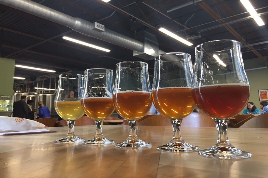 New Islandview brewery Brewery Faisan opens its doors